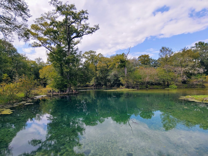 otter springs campground 1