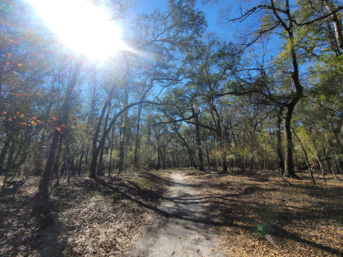 otter springs campground 3