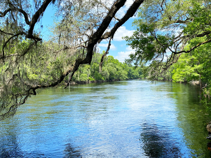 otter springs campground 4