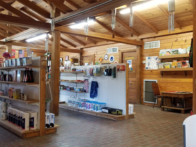 otter springs campground 8