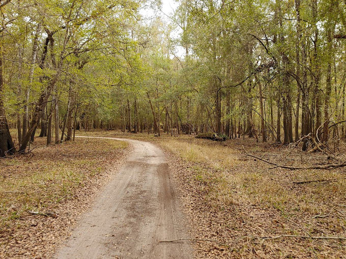otter springs campground 9