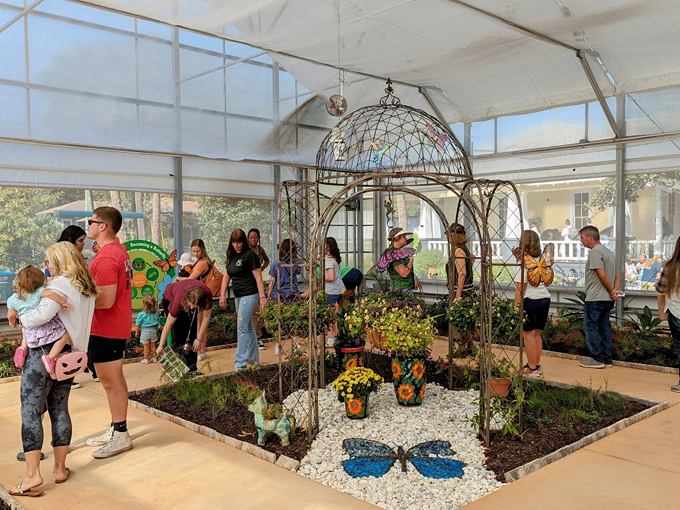 panhandle butterfly house 2