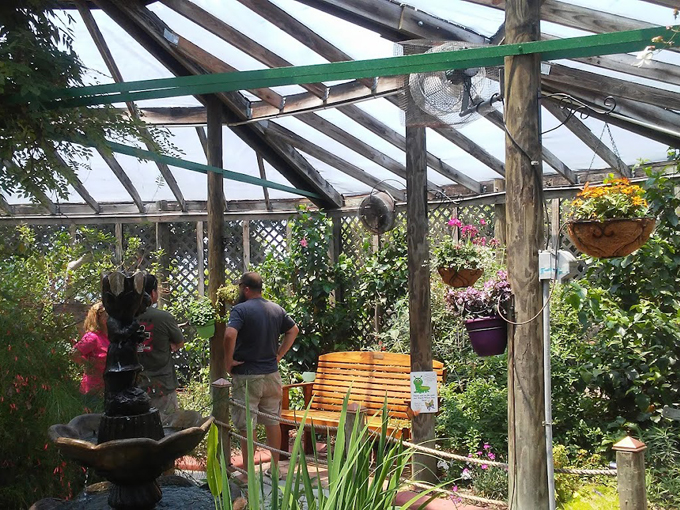 panhandle butterfly house 6