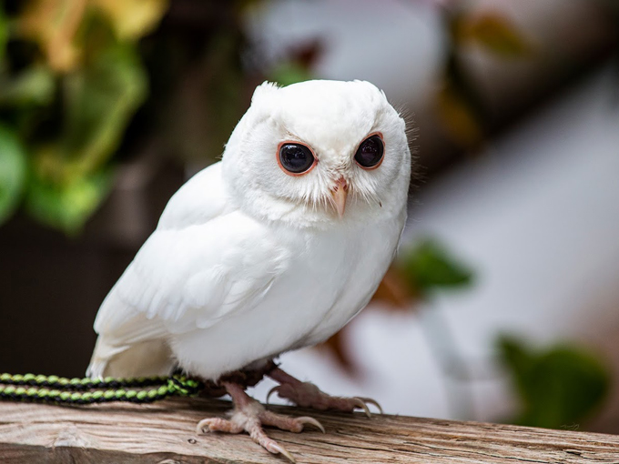 peace river wildlife center 2
