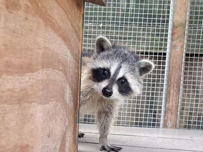 peace river wildlife center 3