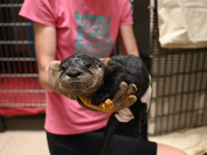 peace river wildlife center 5