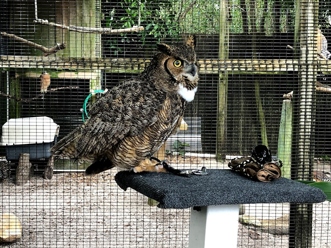 peace river wildlife center 8