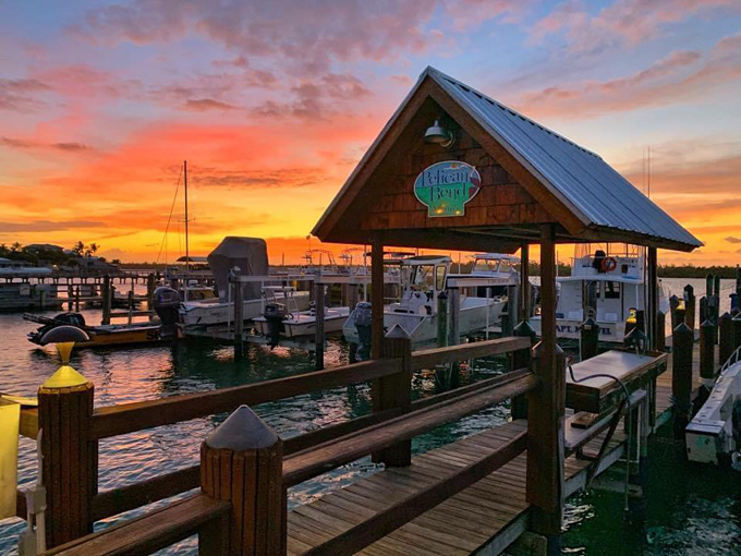 pelican bend 8