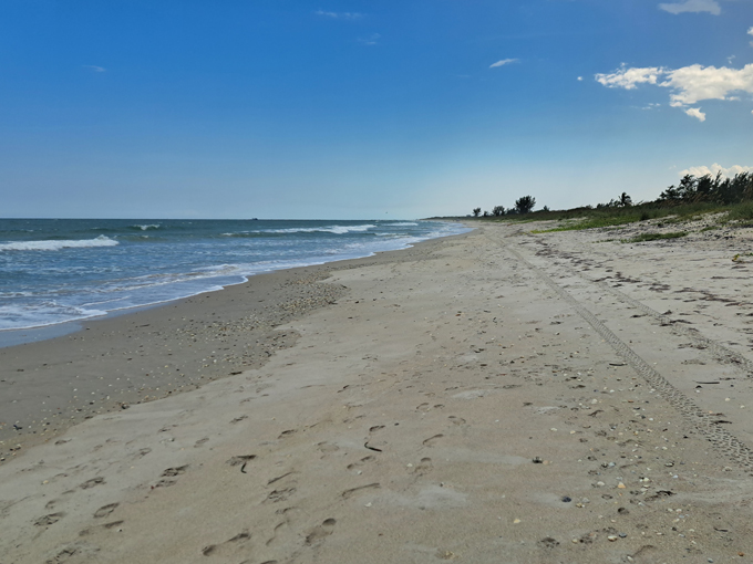 pepper park beachside 1