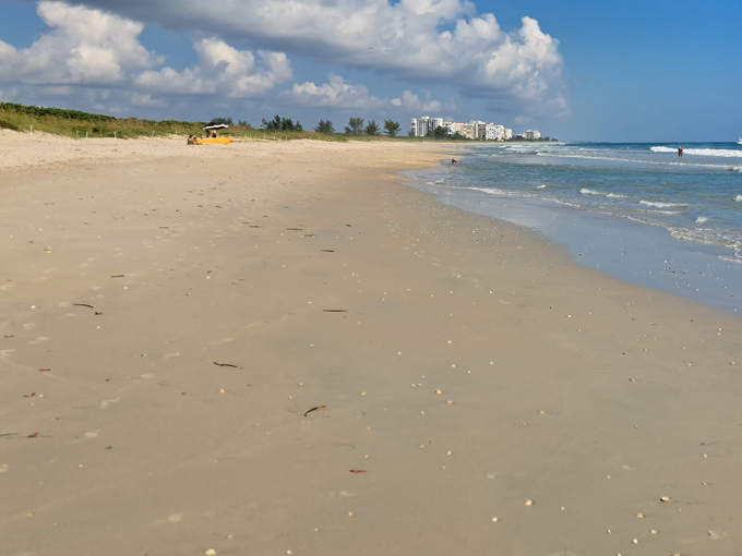 pepper park beachside 3