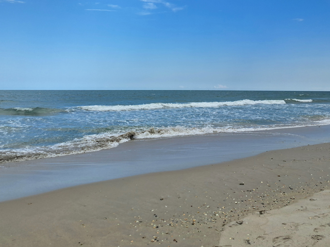 pepper park beachside 4