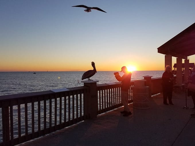 pier 60 9