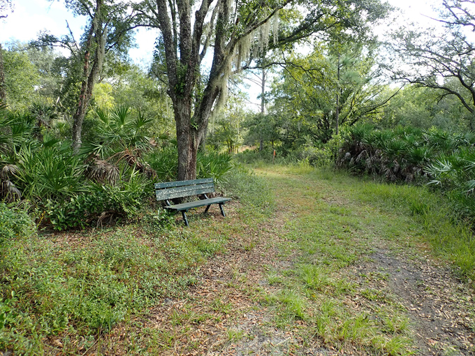 pine lily preserve 8