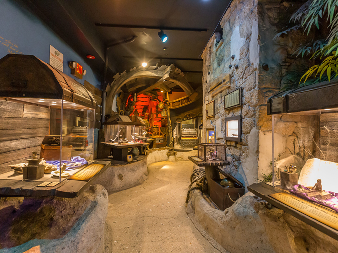 pirate treasure museum 2