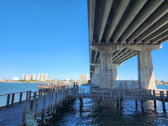 port orange causeway park 5