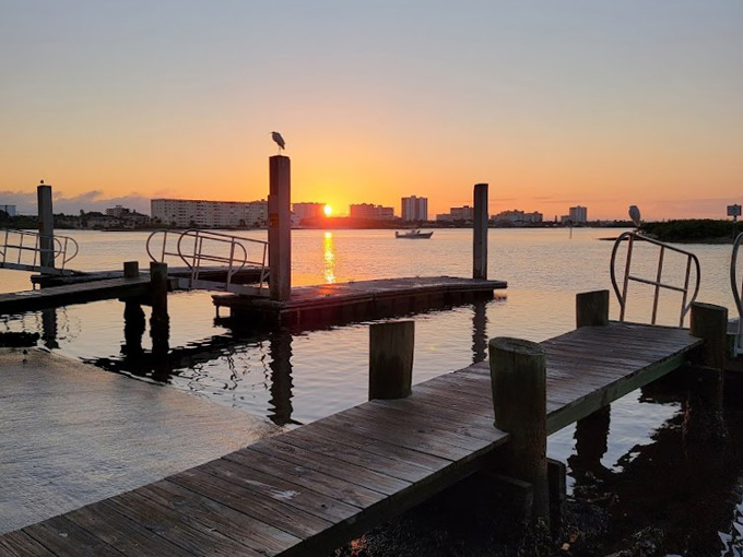 port orange causeway park 8