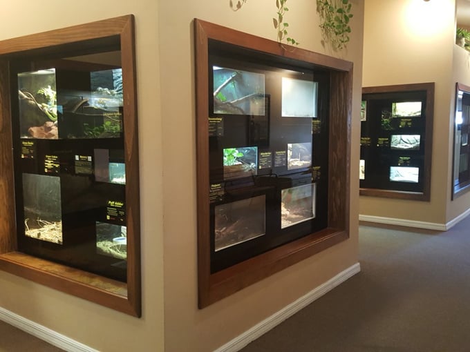 reptile discovery center 2