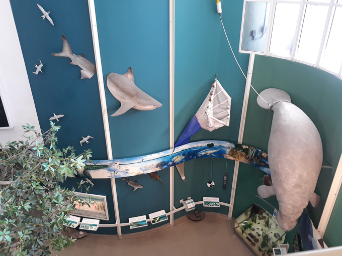 rookery bay environmental learning center 4