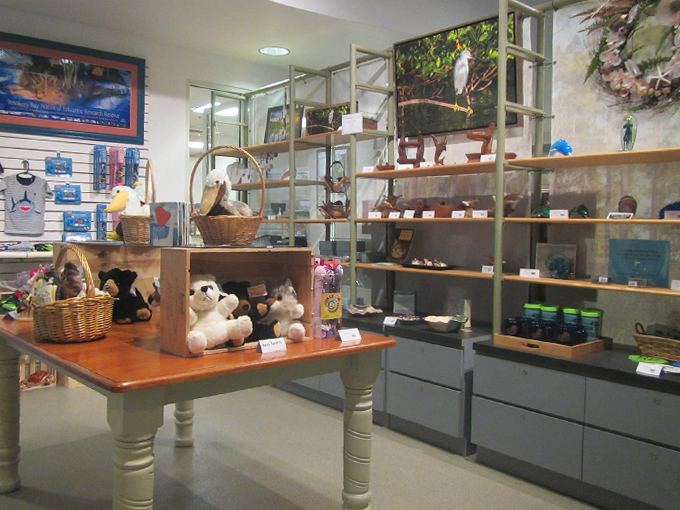 rookery bay environmental learning center 9