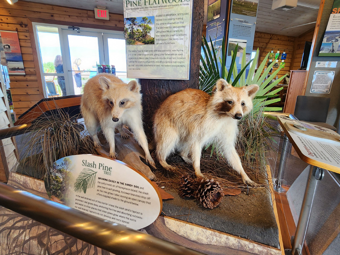 rotary centennial nature center 3