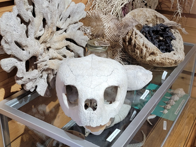 rotary centennial nature center 4