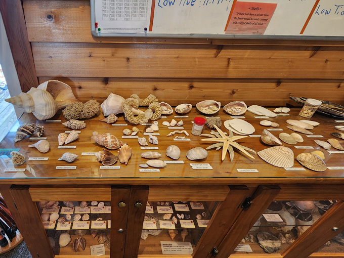 rotary centennial nature center 5