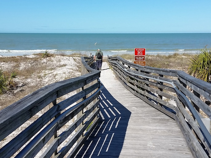rotary centennial nature center 6
