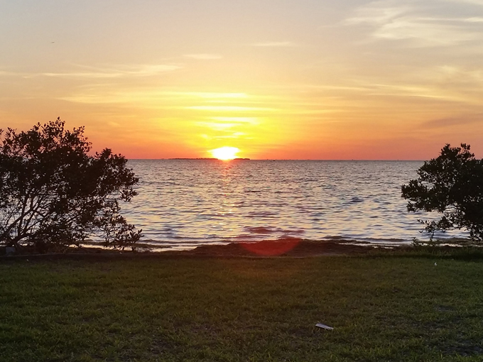 rotary centennial nature center 7