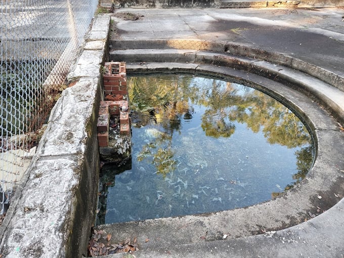 ruins of the hampton springs hotel 1
