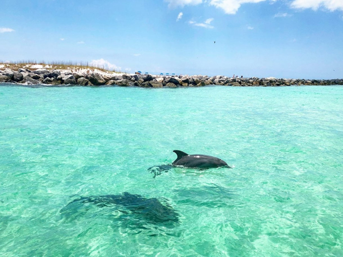 russell fields pier 6