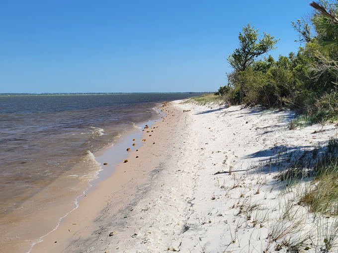 saint joseph peninsula state park 1