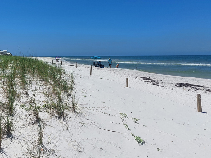 saint joseph peninsula state park 4