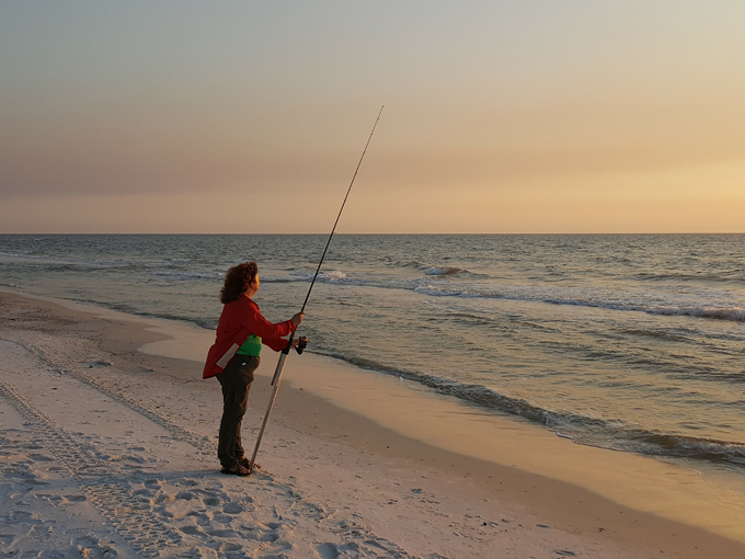 saint joseph peninsula state park 7