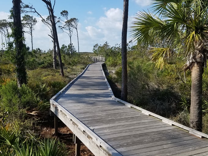 saint joseph peninsula state park 9