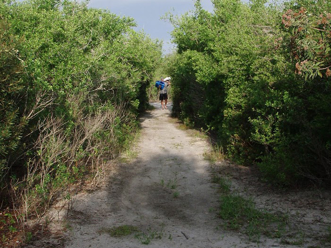 samsons island nature park 4