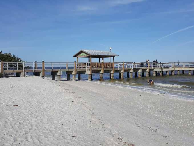 sanibel lighthouse beach park 3