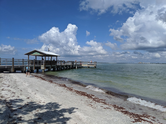 sanibel lighthouse beach park 6