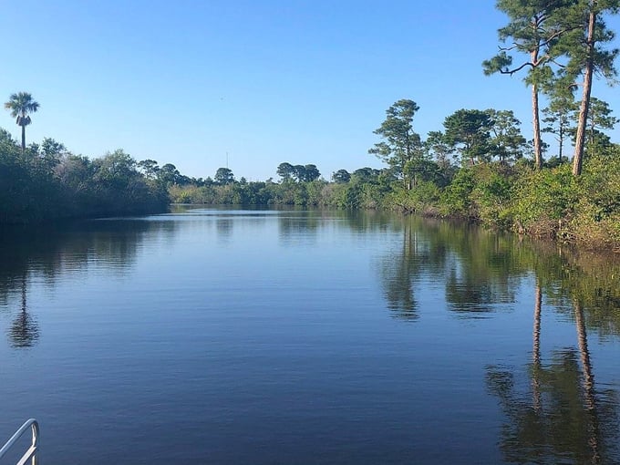 savannas preserve state park 1