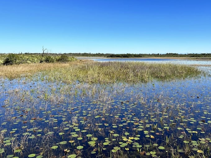 savannas preserve state park 2