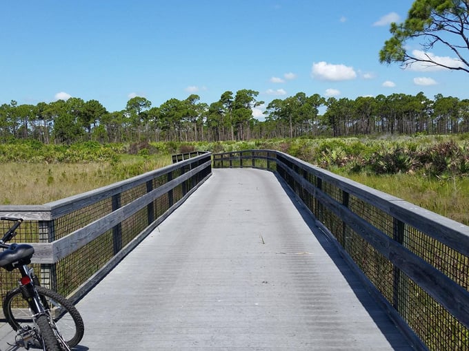 savannas preserve state park 3