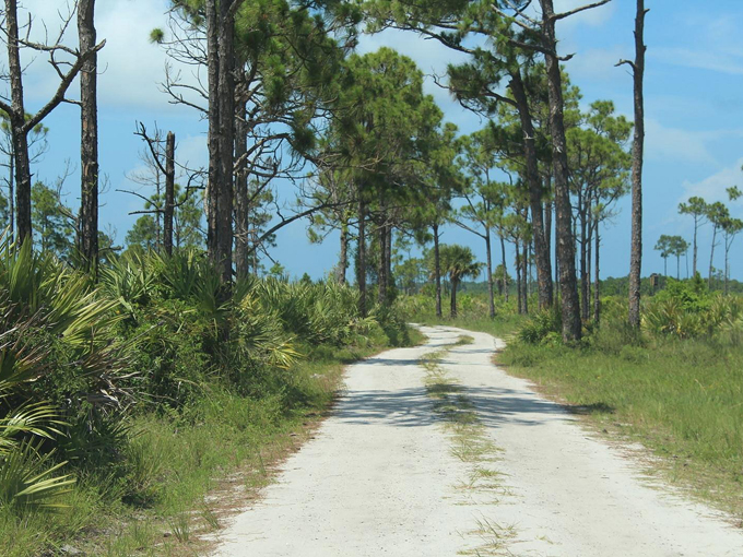 savannas preserve state park 7