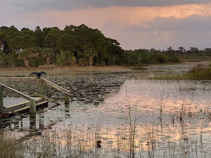 savannas preserve state park 8