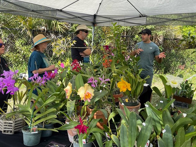 sawgrass nature center wildlife 5