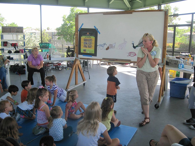 sawgrass nature center wildlife 7