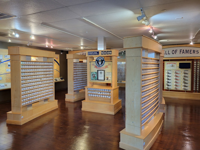 schraders little cooperstown 3