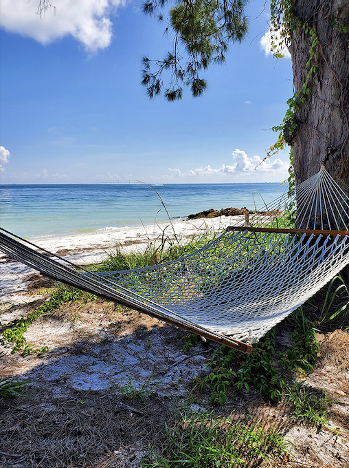 The unofficial office of the "Department of Absolutely Nothing Urgent," where napping becomes an art form.