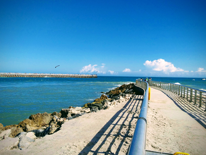 sebastian inlet state park 6