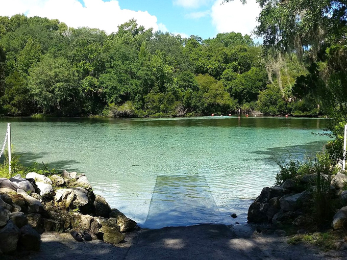 silver glen springs 1