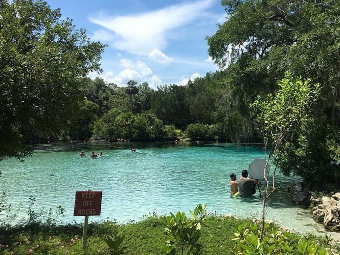 silver glen springs 5