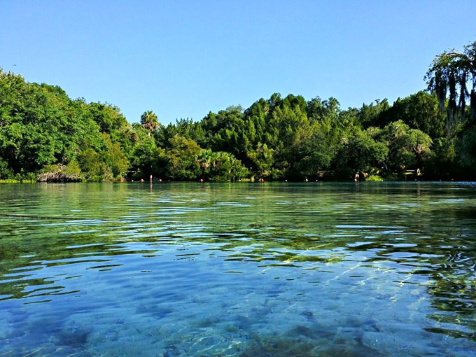 silver glen springs 6